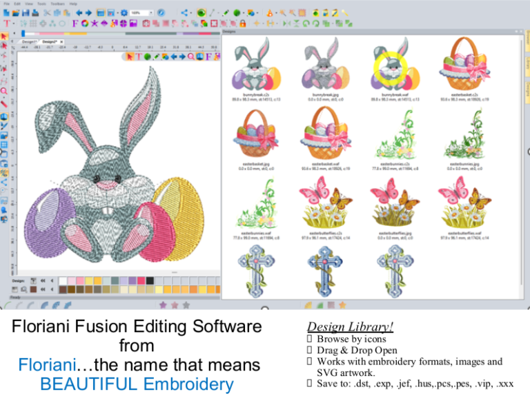 Floriani Fusion Software - Floriani