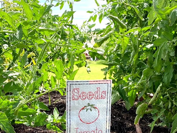 Garden Seed Label Sticks - Floriani